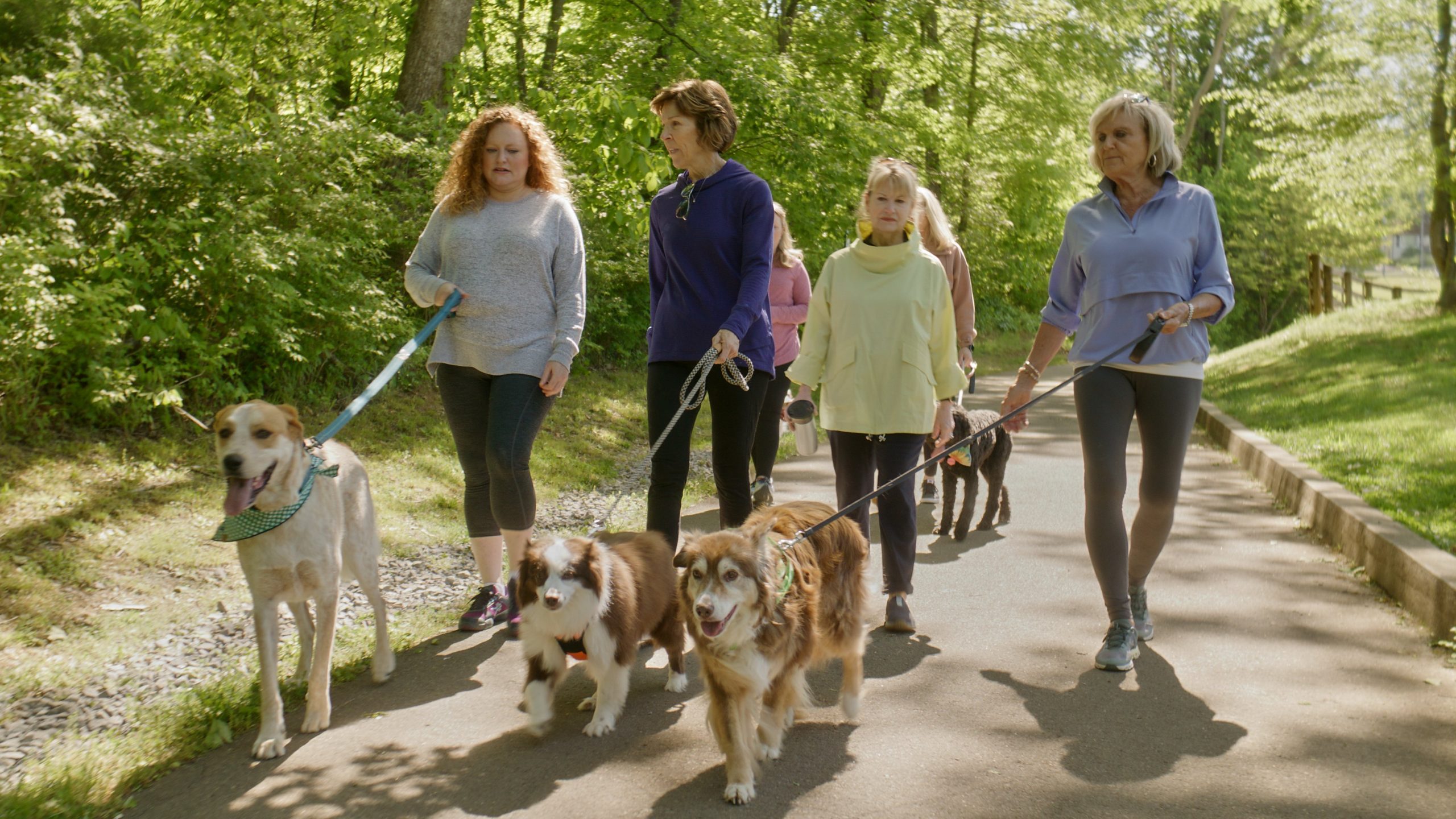 Local Events in Springfield, TN - realspringfieldtn