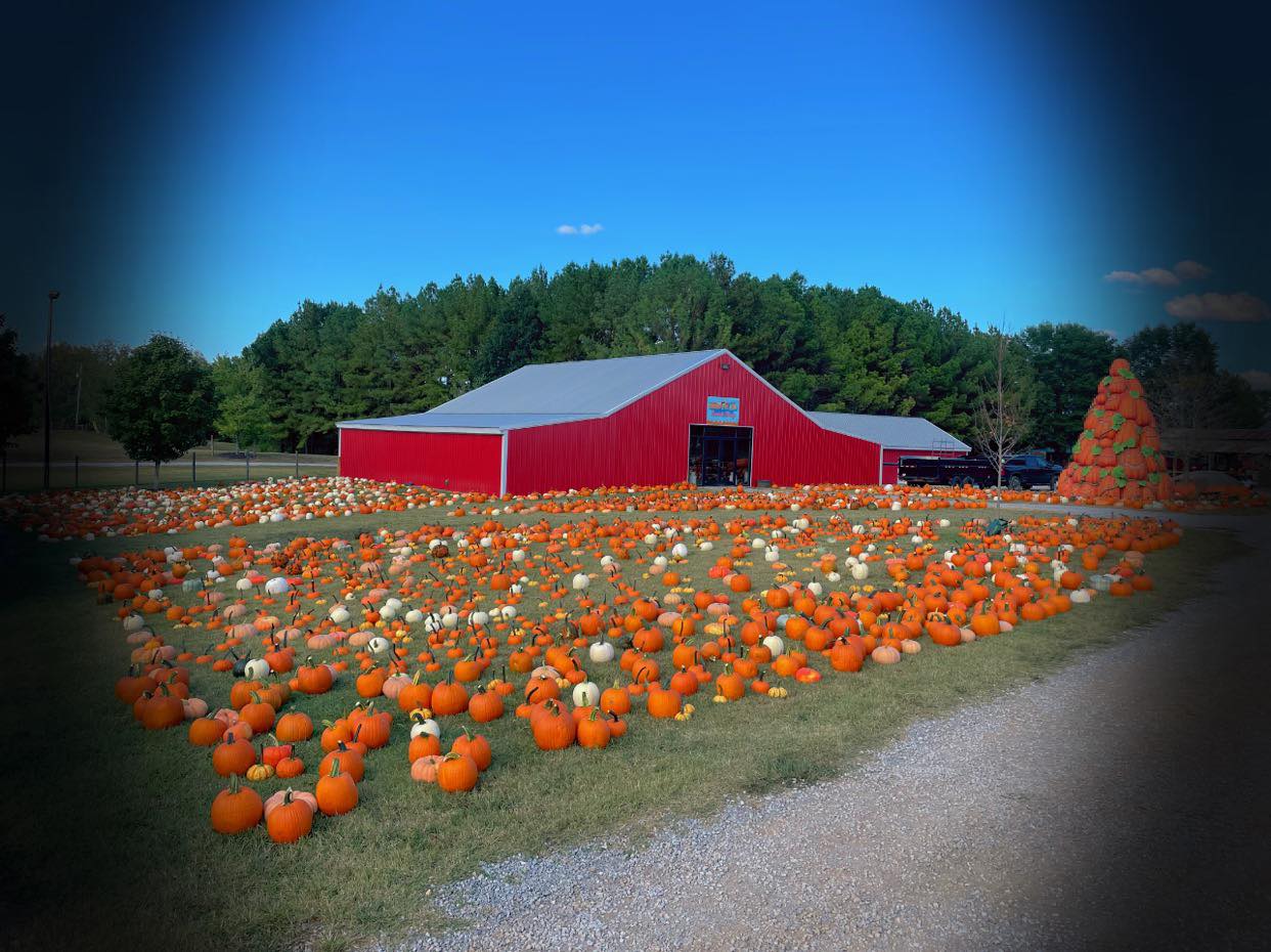 Attractions | Springfield, TN - realspringfieldtn